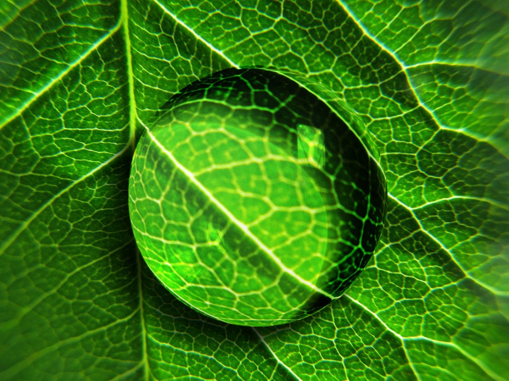 The Color of the Future = Green – Trade Show Insights