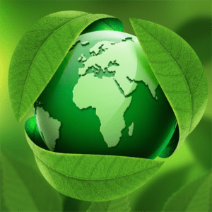 Weekly Insights: Why Going Green Matters – Trade Show Insights